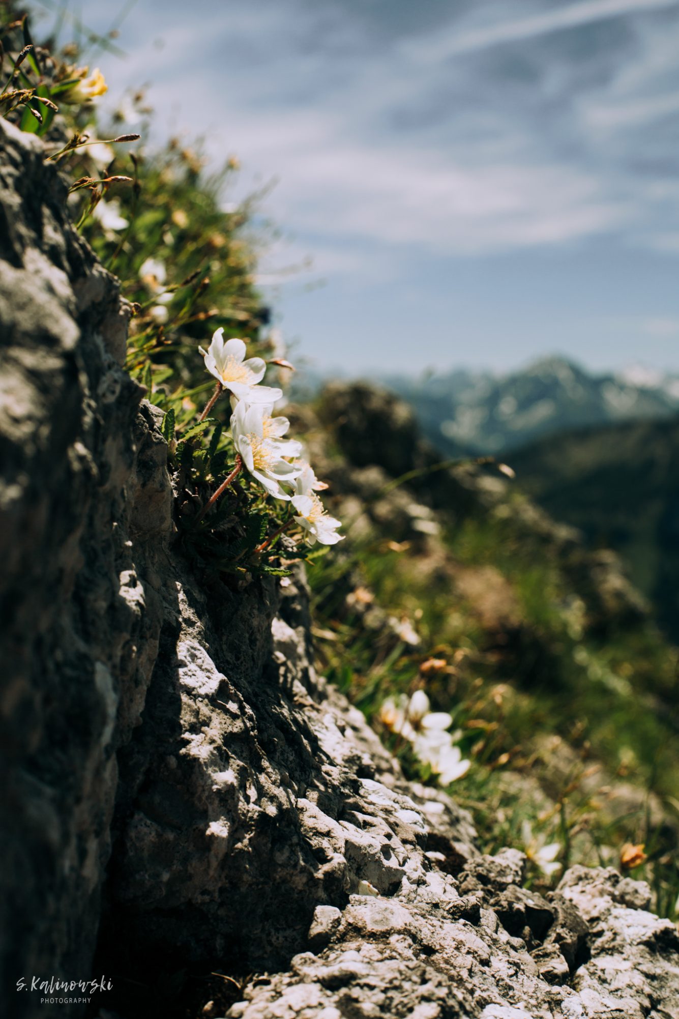 Urlaub in Deutschland. Bayerische Alpen. - S.Kalinowski Fotografie